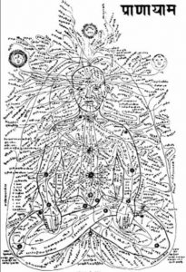 The 5 Pranas and their Vayus - self nurture yoga
